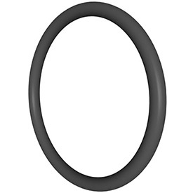 Pentair (O Rings) | Pentair | Pool Brigade